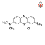 Biological Stains | Classification, Examples & Uses
